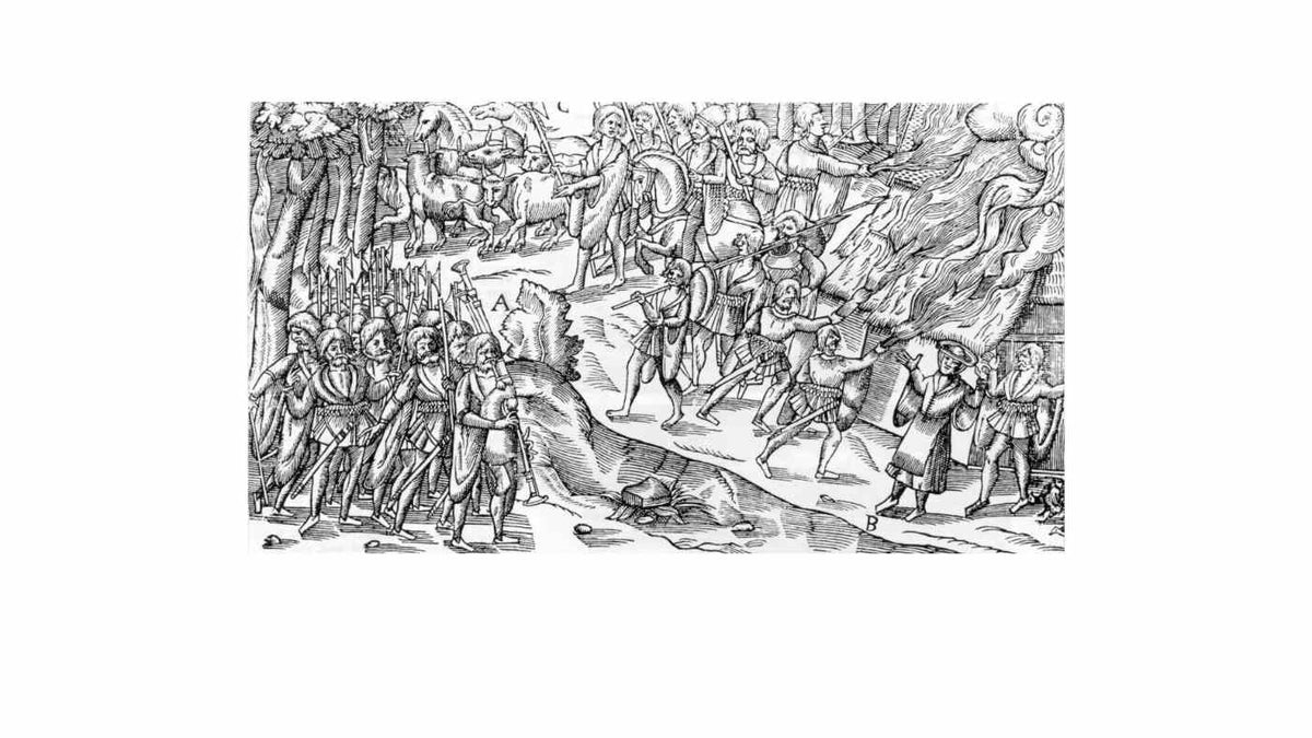 What Weapons did Irish Warriors Use? – Arms & Armor