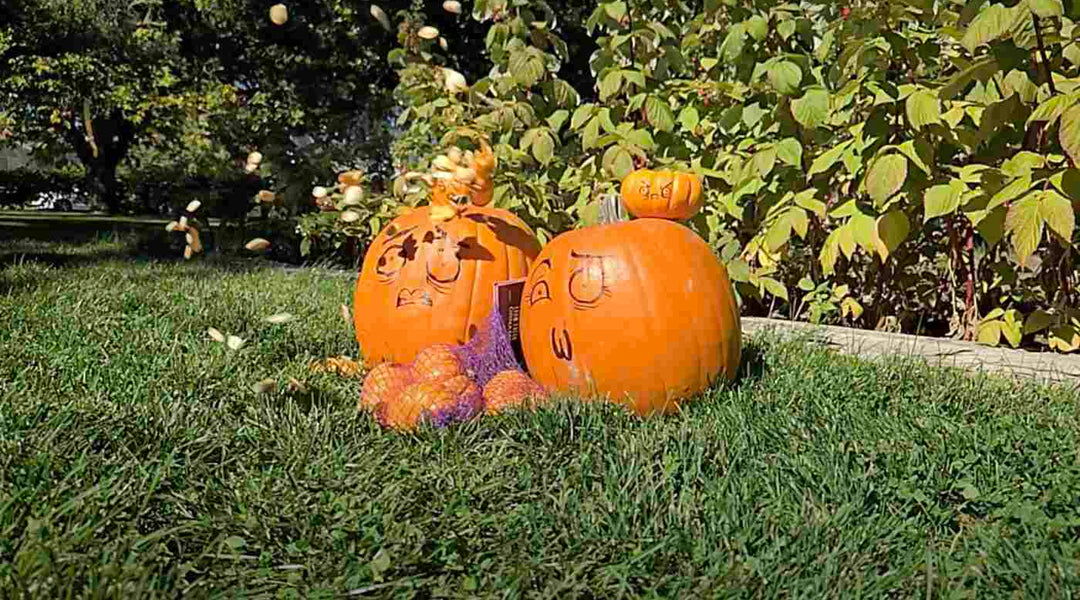 News and Blogs – Page 4 – Arms & Armor